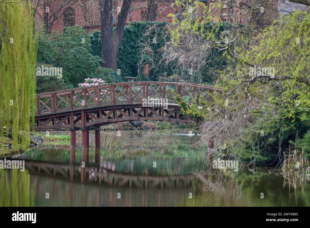 Botanical gardens in the early spring Wroclaw Lower Silesia Poland ...
