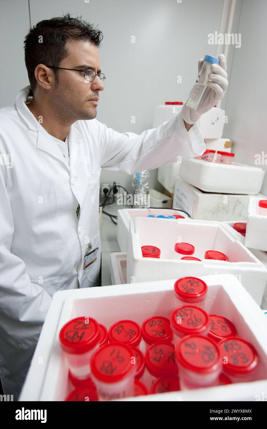 Department brain ischemia neurodegeneration iibb hi-res stock ...