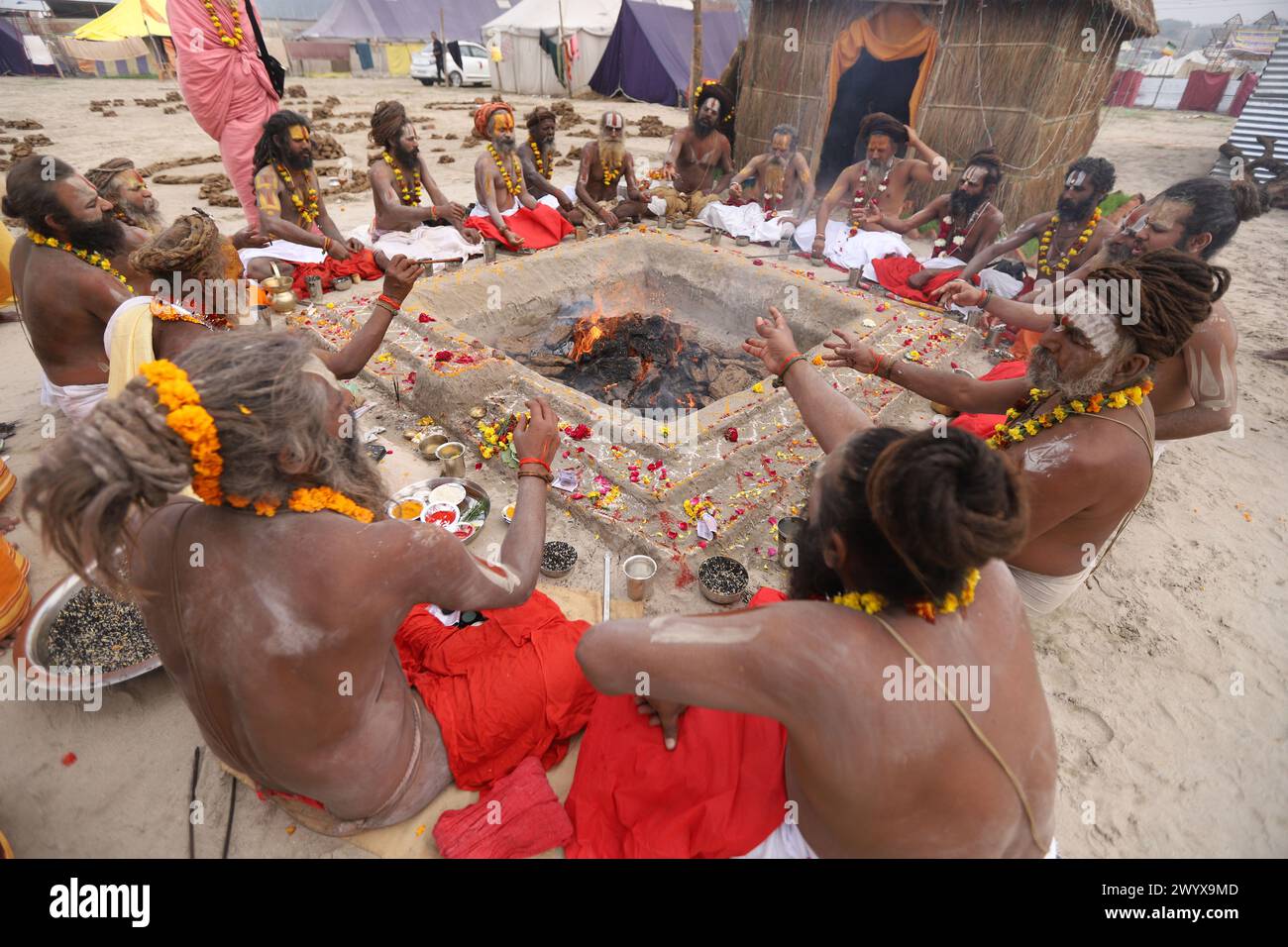 Sadhus perform worship on the occation of Basant Panchami at a ...