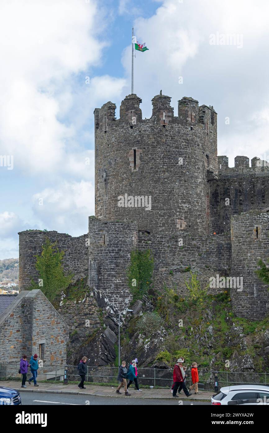 People, tower, flag, castle, Conwy, Wales, Great Britain Stock Photo ...