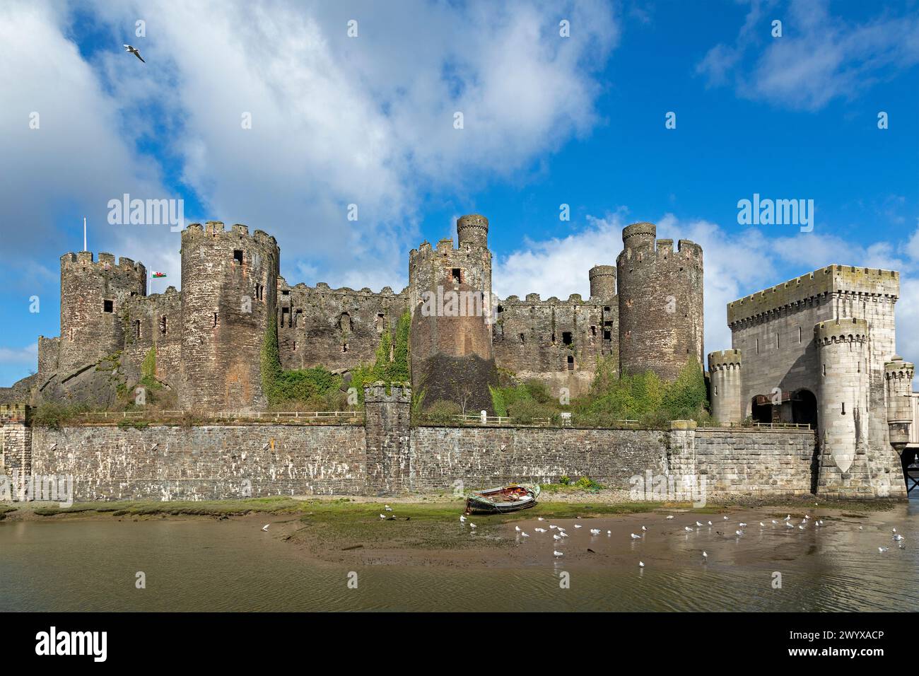 Wall of the conwy castle hi-res stock photography and images - Alamy