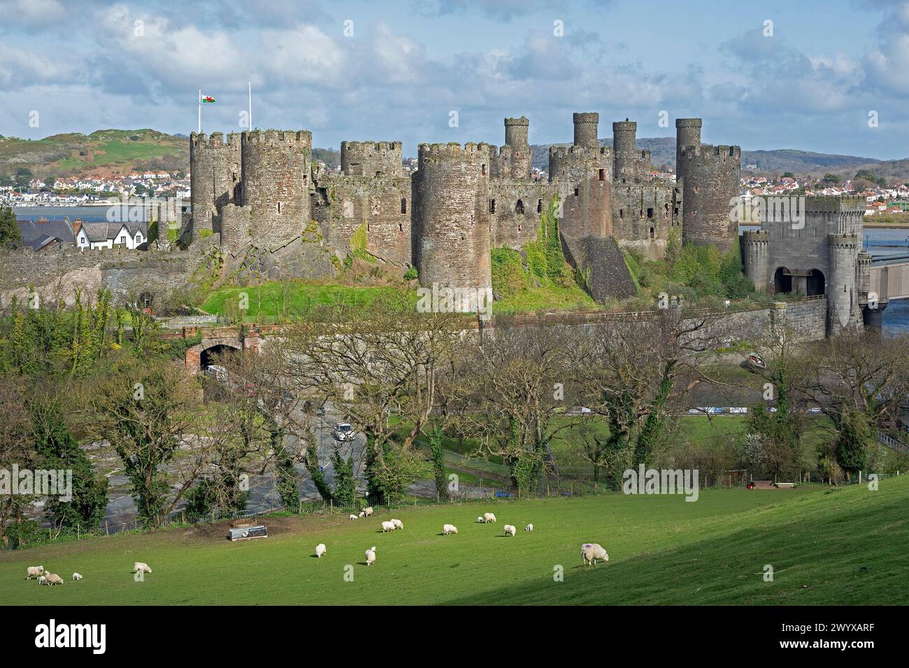 Sheep castle hi-res stock photography and images - Alamy
