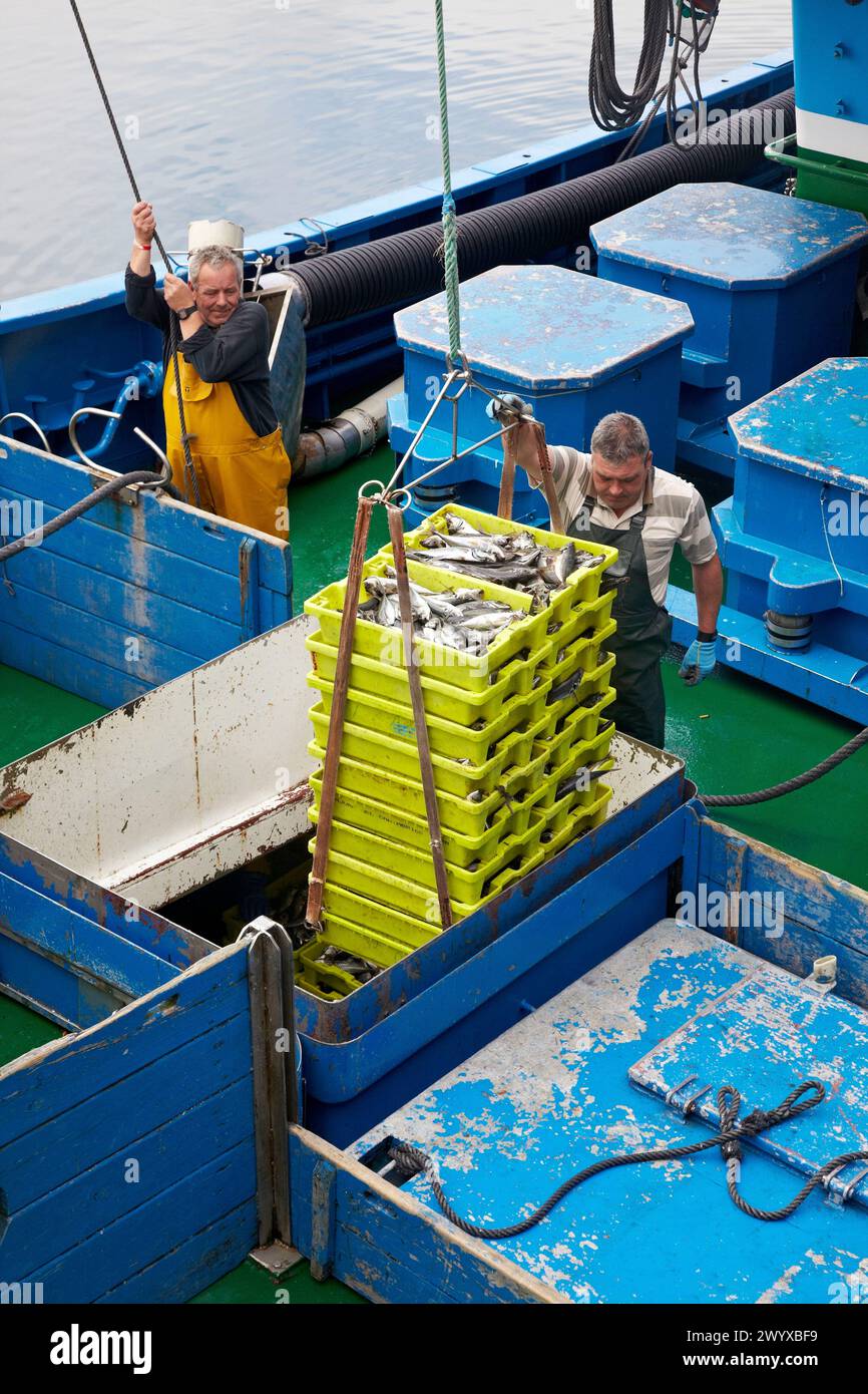 Two fishing boats unloading hi-res stock photography and images - Alamy