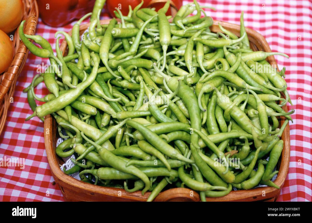 Organic farming: green peppers Stock Photo - Alamy