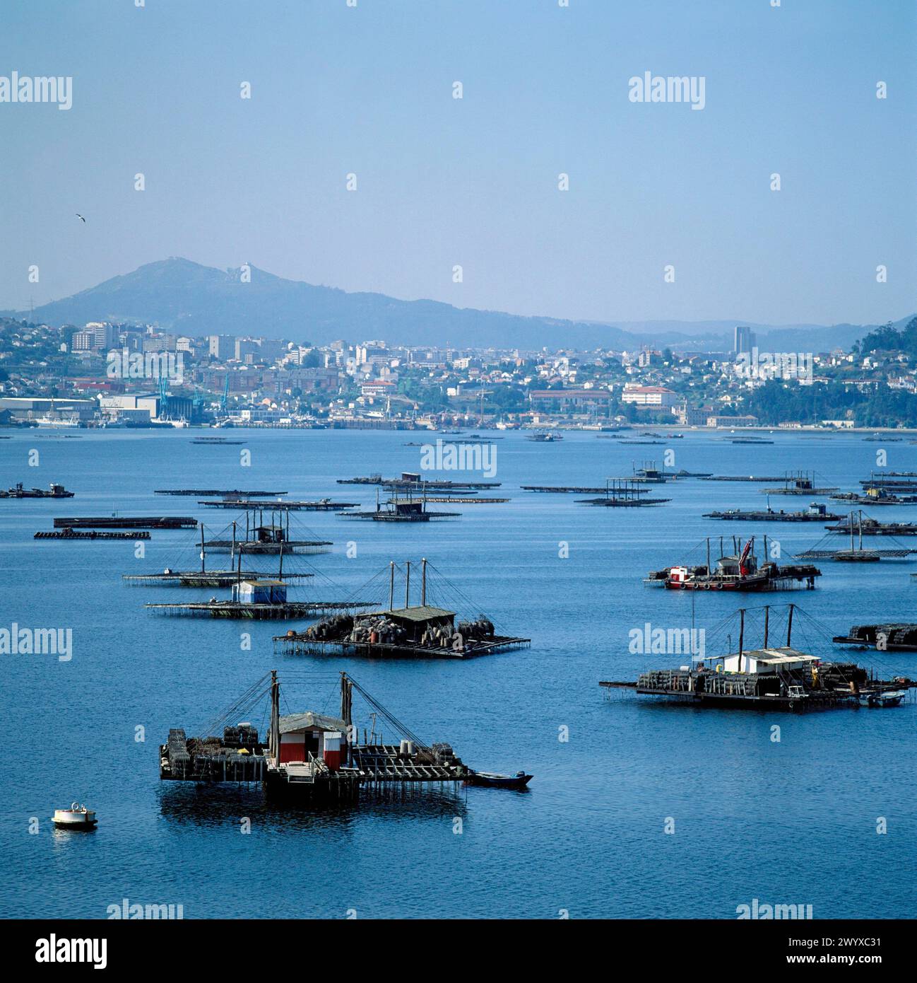 Mussel platforms hi-res stock photography and images - Alamy