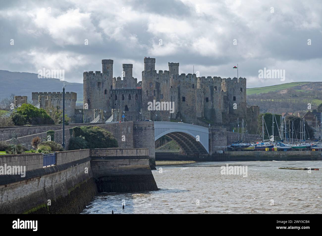 Castle, bridge, River Conwy, Conwy, Wales, Great Britain Stock Photo - Alamy