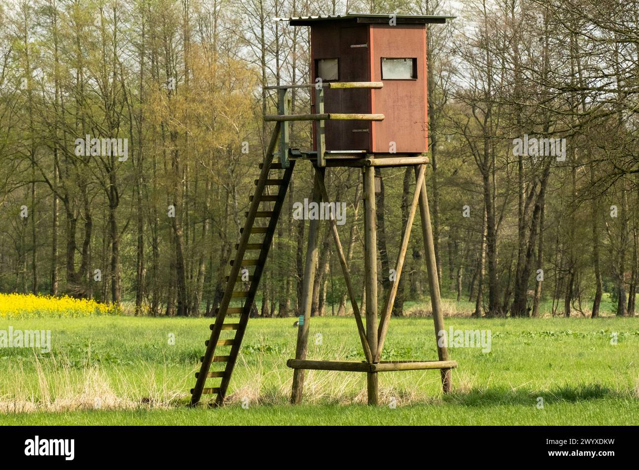 High stand for hunters in the meadow Stock Photo - Alamy