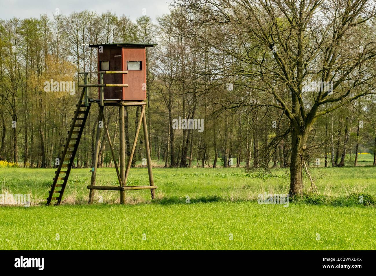 High and hunters seat in the forest hi-res stock photography and images ...