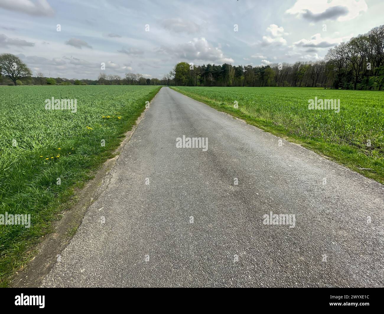 Horizon meadow hi-res stock photography and images - Alamy