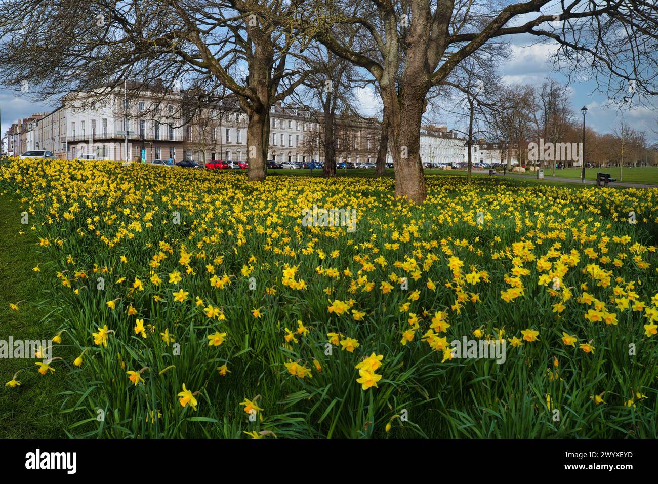 Spring Flowers in Perth, Scotland Stock Photo - Alamy