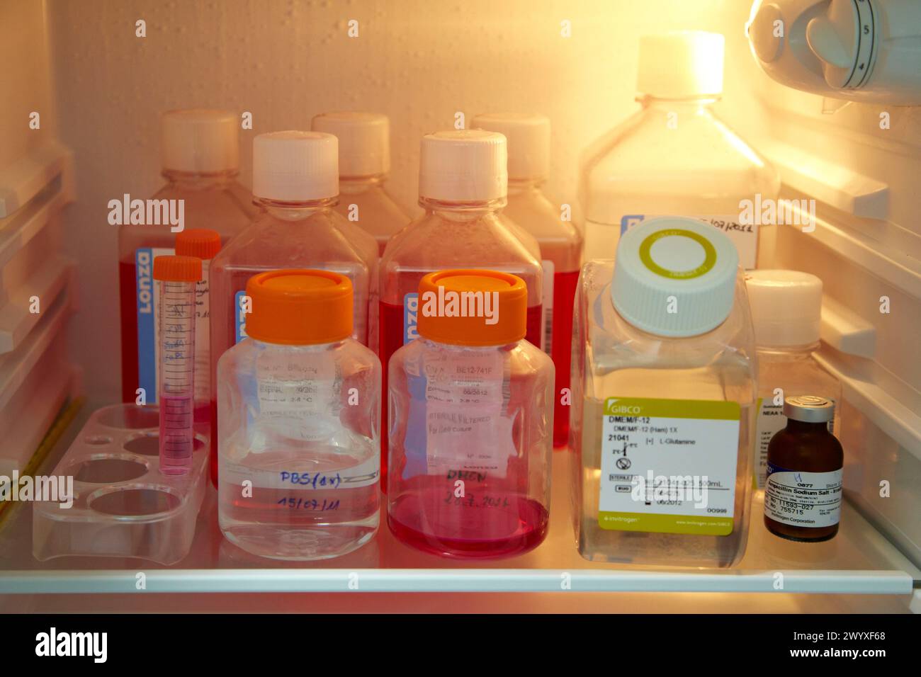 Cell culture room, culture medium and reagents for cell culture ...