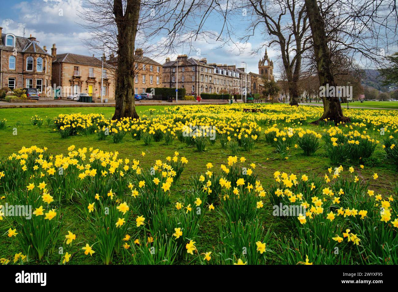 Spring Flowers in Perth, Scotland Stock Photo - Alamy