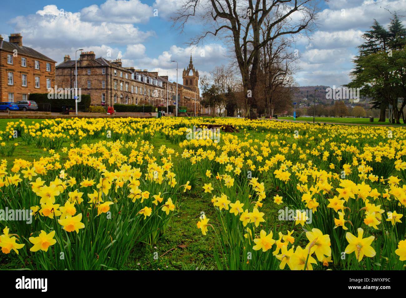 Perth spring scotland scottish hi-res stock photography and images - Alamy