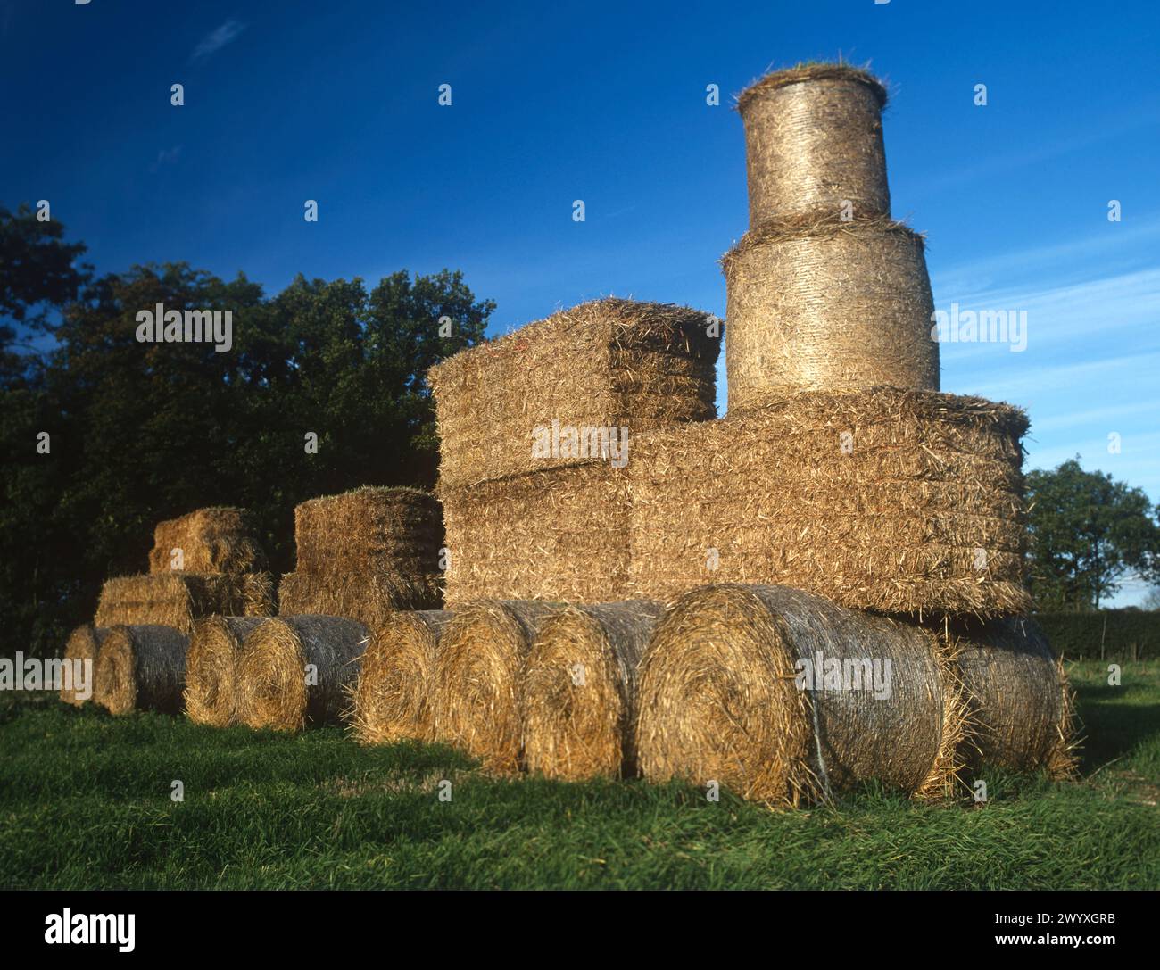 Steam train sculpture made from hay bales in field at the side of the ...
