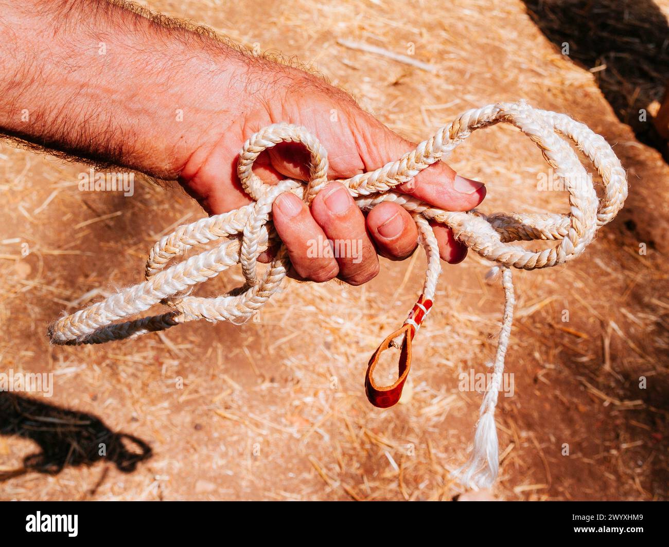 David and goliath weapon hi-res stock photography and images - Alamy