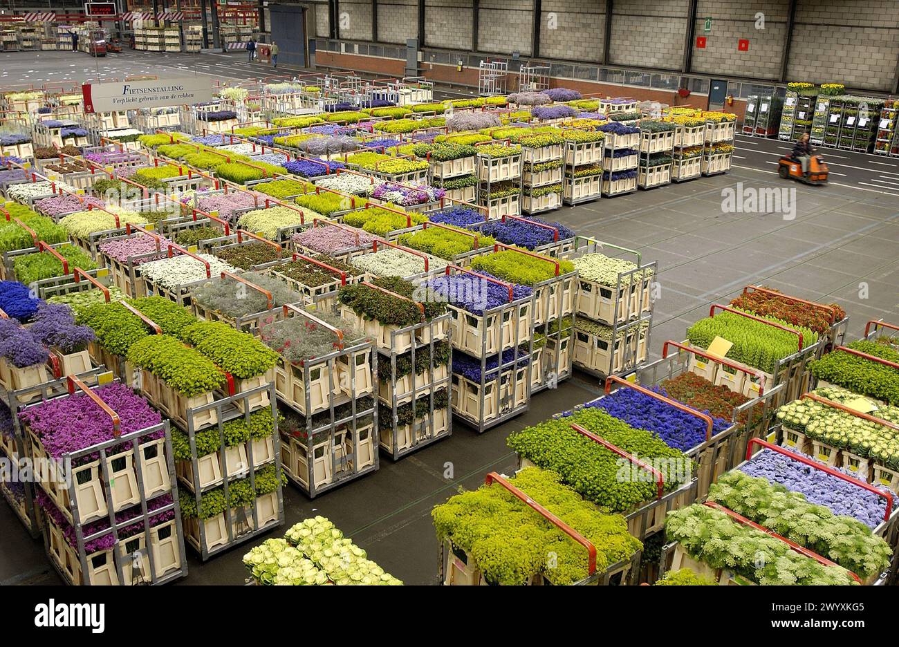 Distribution hall, Flower Auction (Bloemenveiling) Aalsmeer ...