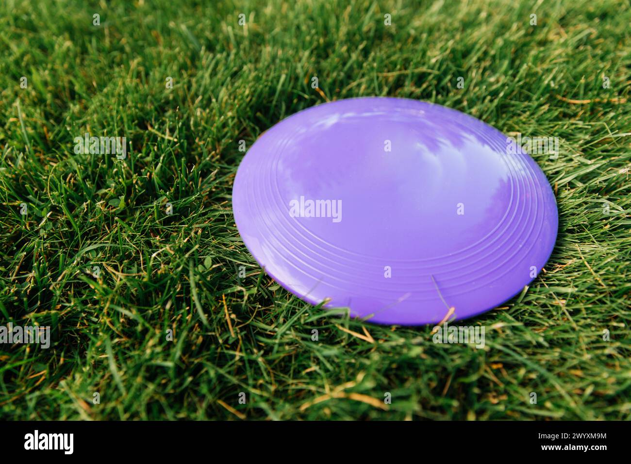 People playing disc golf hi-res stock photography and images - Alamy