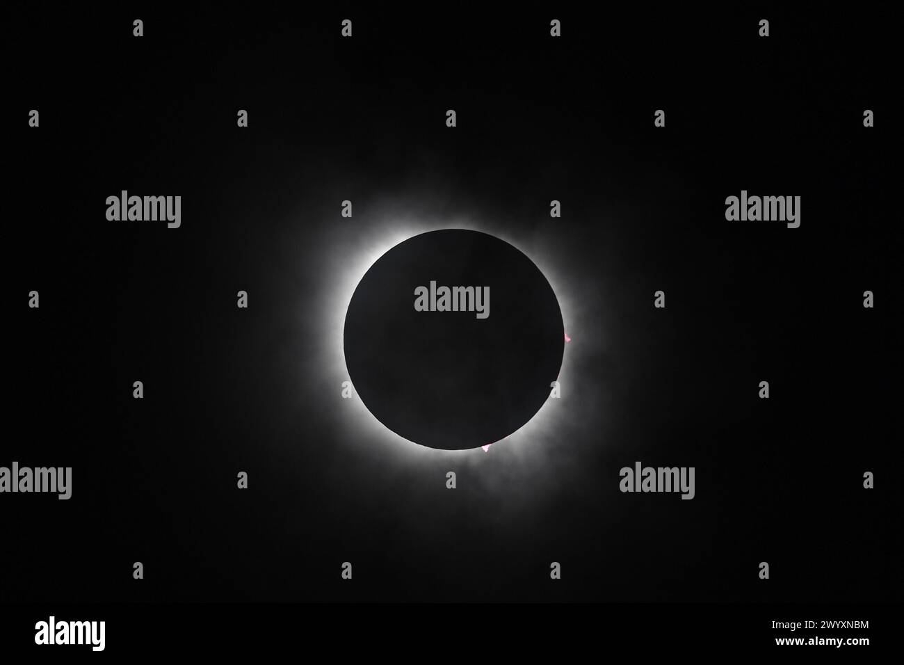 Burnet, Texas United States, April 8 2024. A total solar eclipse of the ...