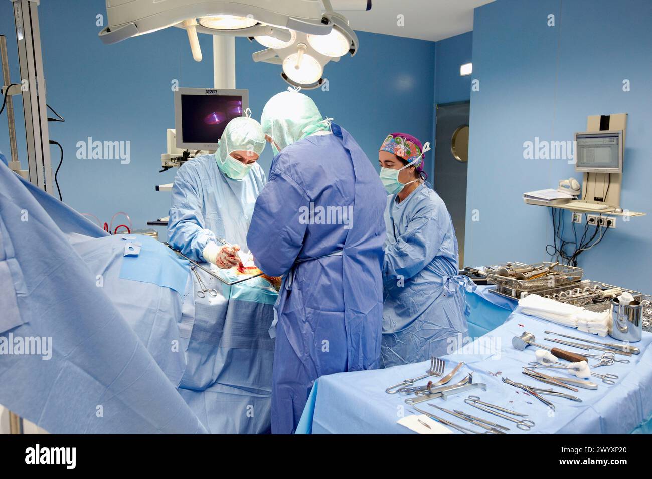 Hip joint replacement, traumatology operating room. Hospital ...
