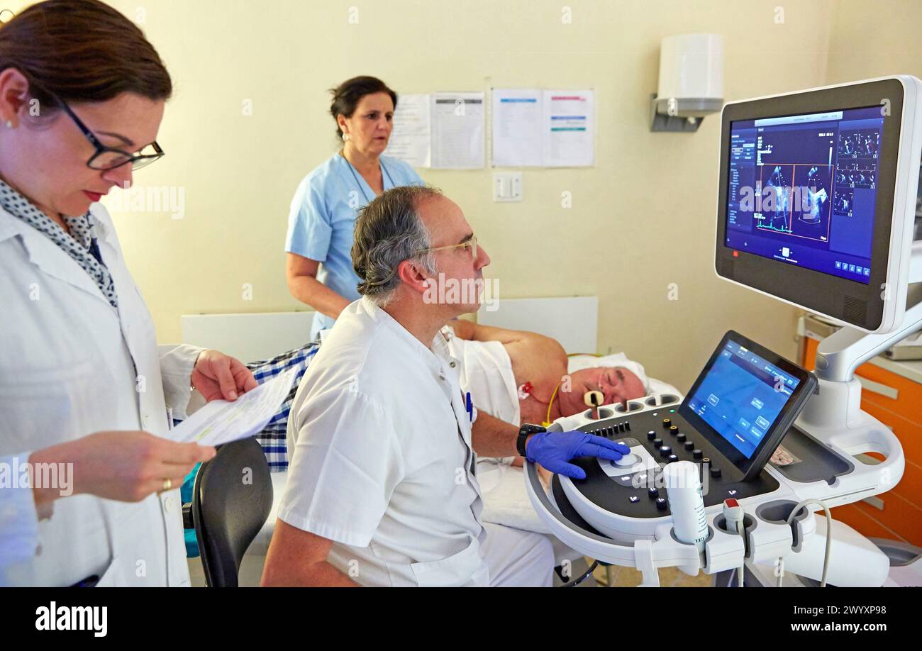 3D cardiac ultrasound, Hospital Donostia, San Sebastian, Gipuzkoa ...