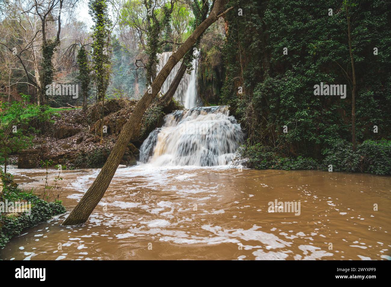 Multi-tiered waterfall nestled in a verdant forest, offering a ...