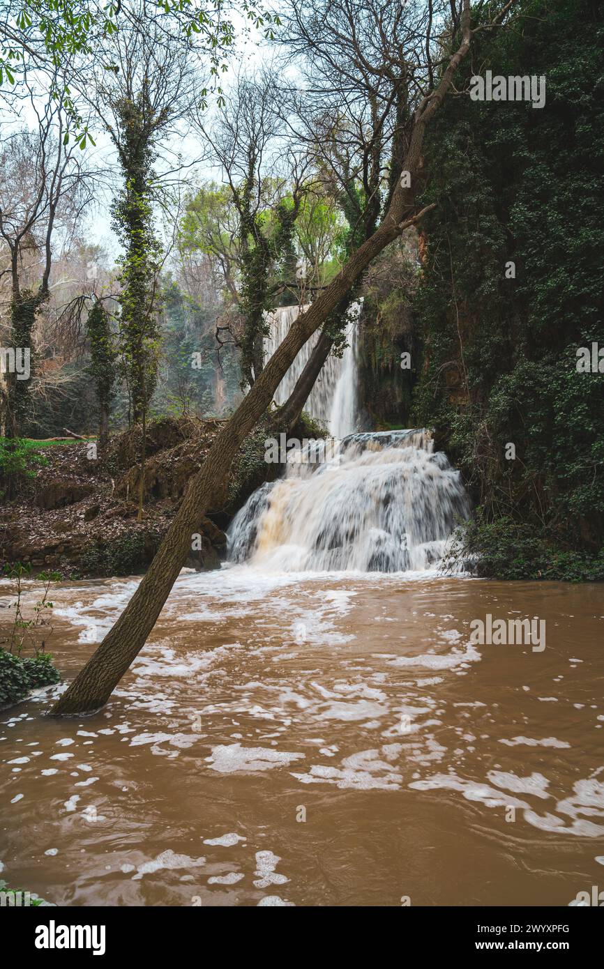 Multi-tiered waterfall nestled in a verdant forest, offering a ...