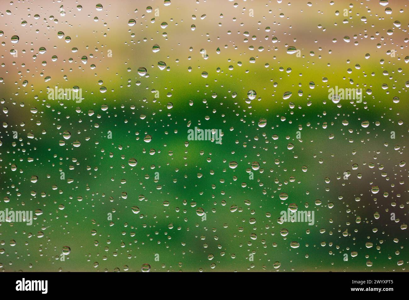 Drops of water on a wet glass with natural green background. Rain drops ...