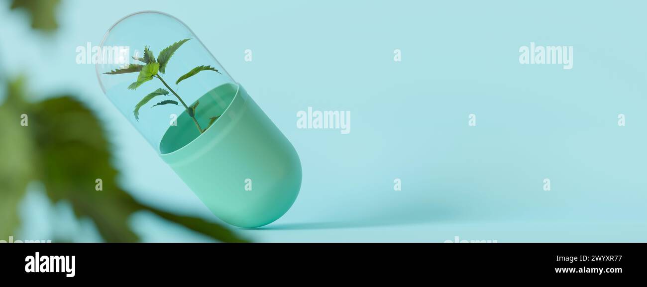 Elegant homeopathy capsule with a plant inside, conveying natural and ...