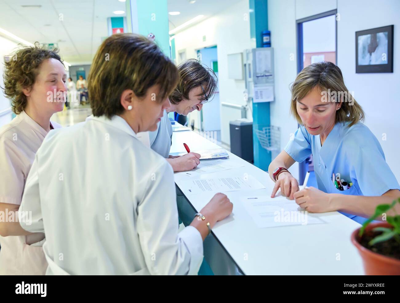 Nursing control, Plant hospitalization, Hospital Donostia, San ...