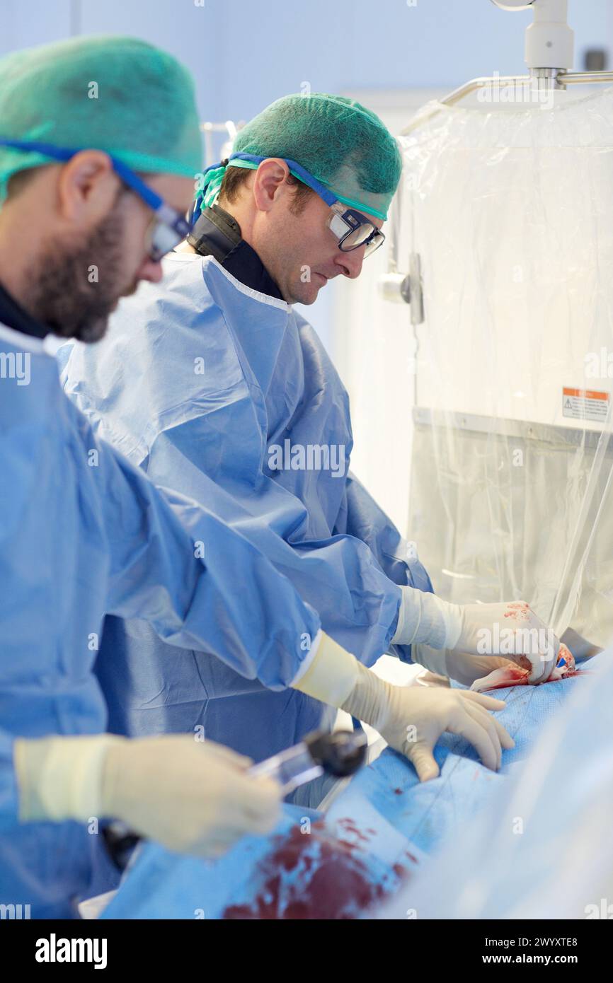 Angioplasty, Stenting in coronary arteries, Hemodynamic, Operating room ...
