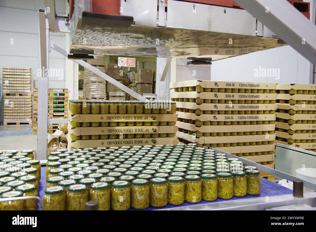 Labeling and packaging canned vegetables, Green bean, Canning Industry ...