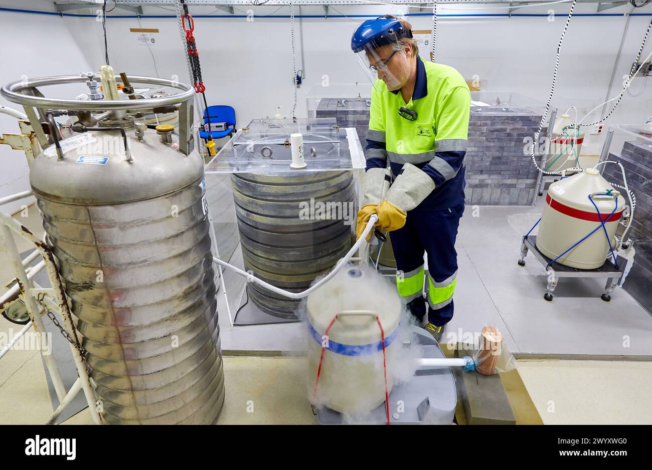 Liquid Nitrogen Refilling, Germanium Detectors, The Laboratorio ...