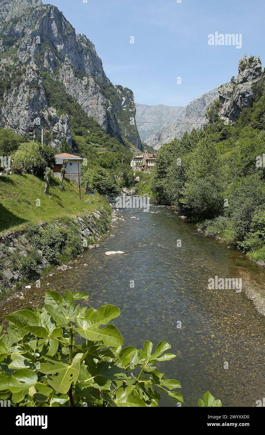 Desfiladero de la Hermida, Deva River gorge. Cantabria. Spain Stock ...