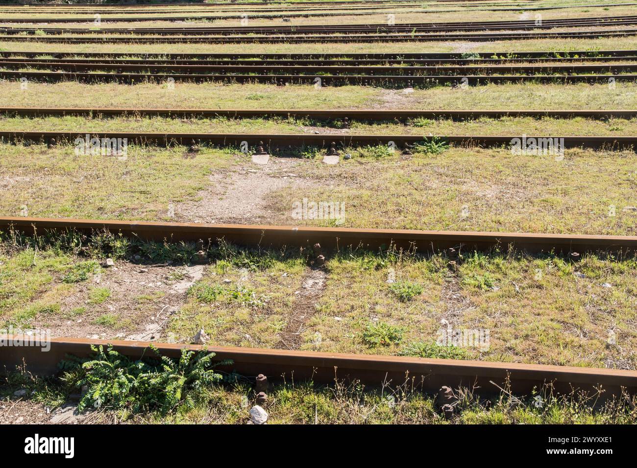 Old railway tracks closeup on sunny day Stock Photo - Alamy
