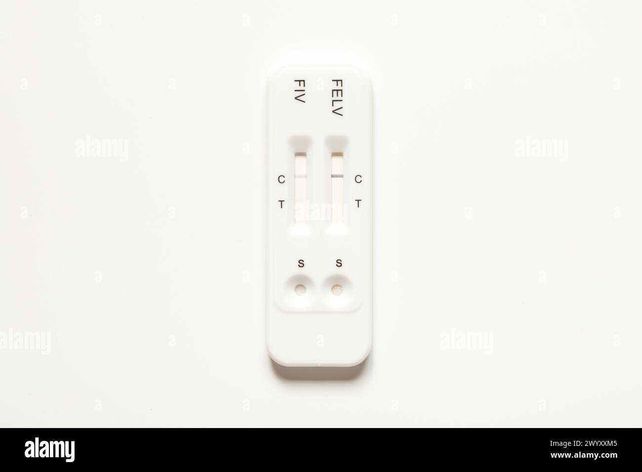 Rapid test for feline leukemia virus and immunodeficiency virus with a ...
