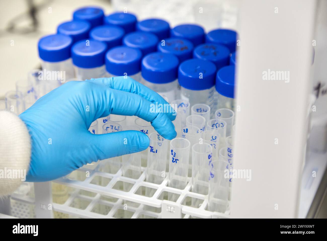 Icp ms hi-res stock photography and images - Alamy