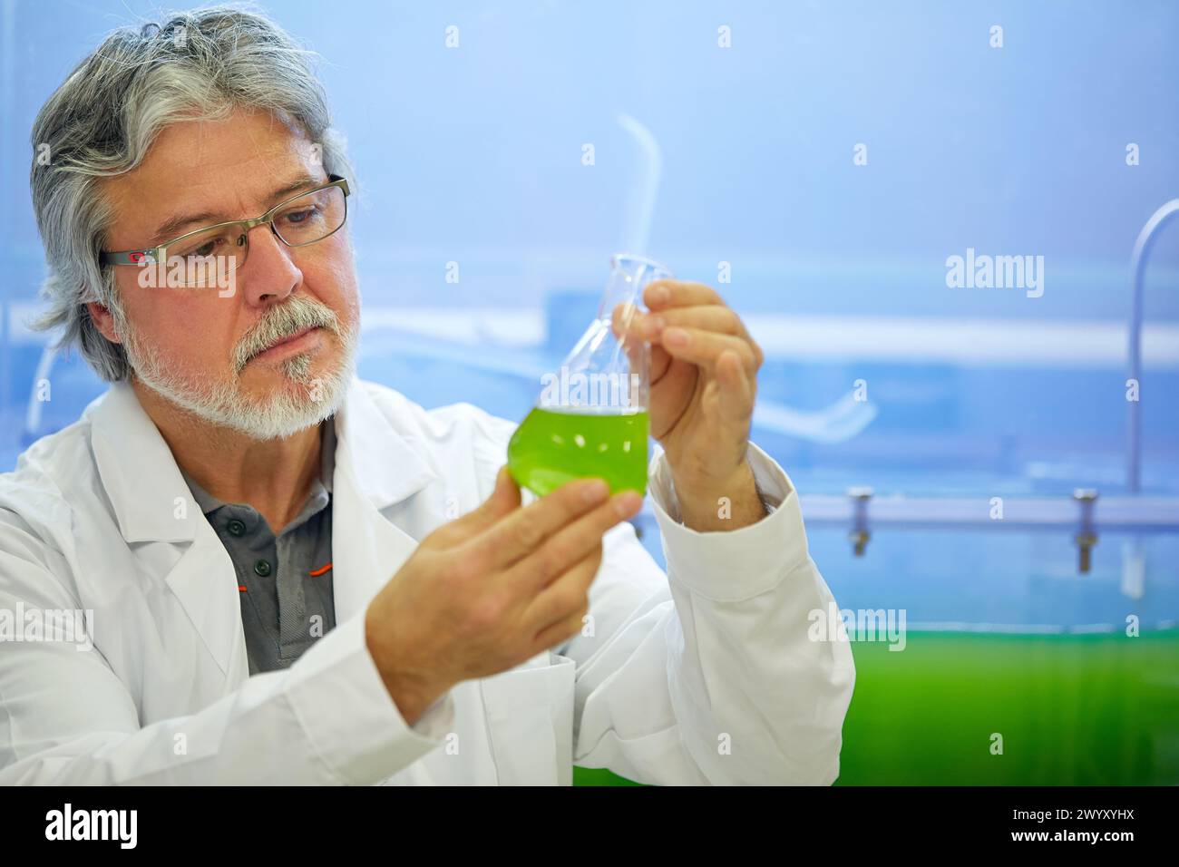 Reactor for microalgae cultivation hi-res stock photography and images ...
