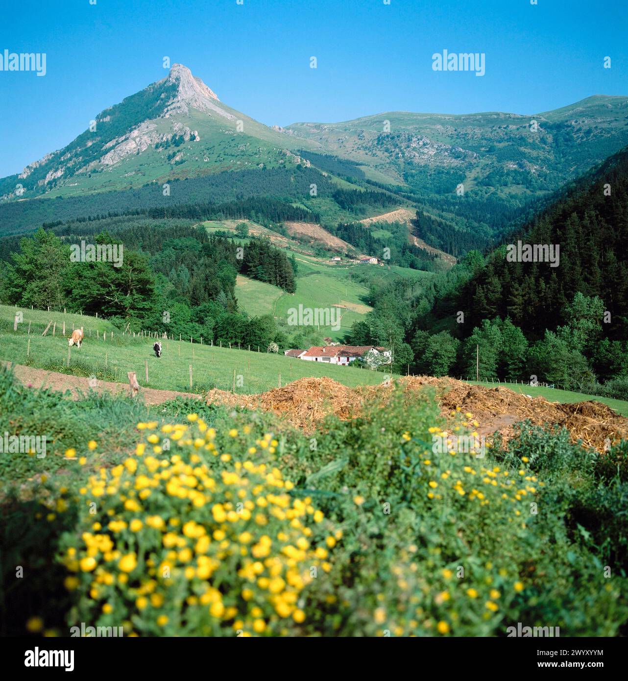 Monte Txindoki, Sierra de Aralar, Zaldibia, Guipúzcoa, Spain Stock ...