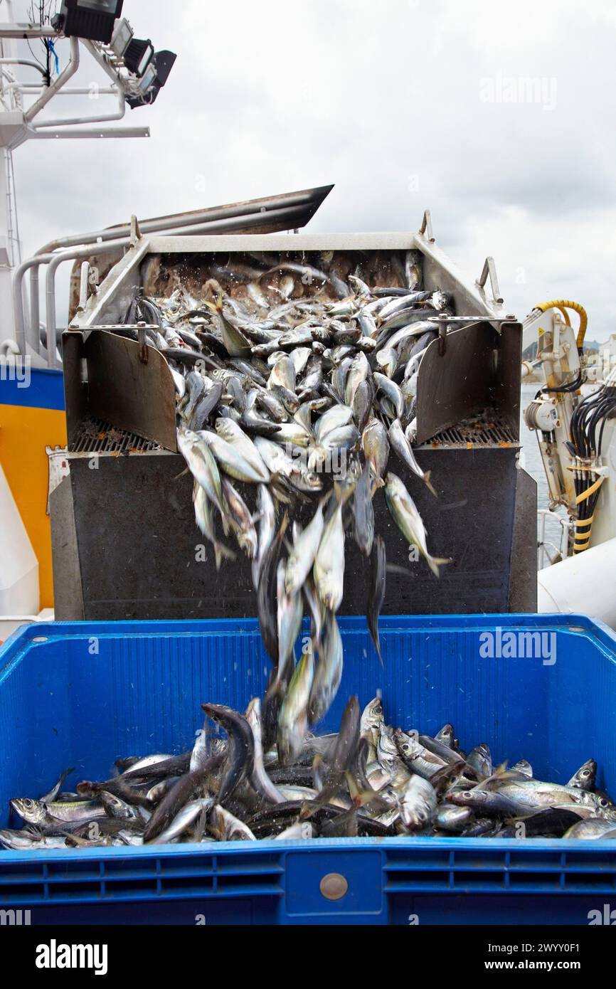 Conveyor pumps hi-res stock photography and images - Alamy