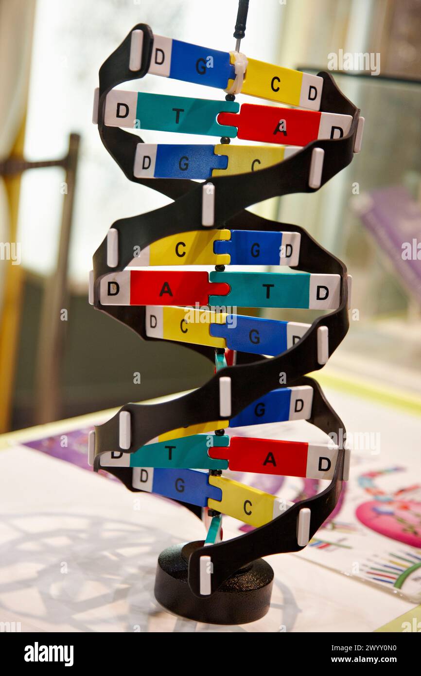 DNA, Miraikan, National Museum of Emerging Science and Innovation ...