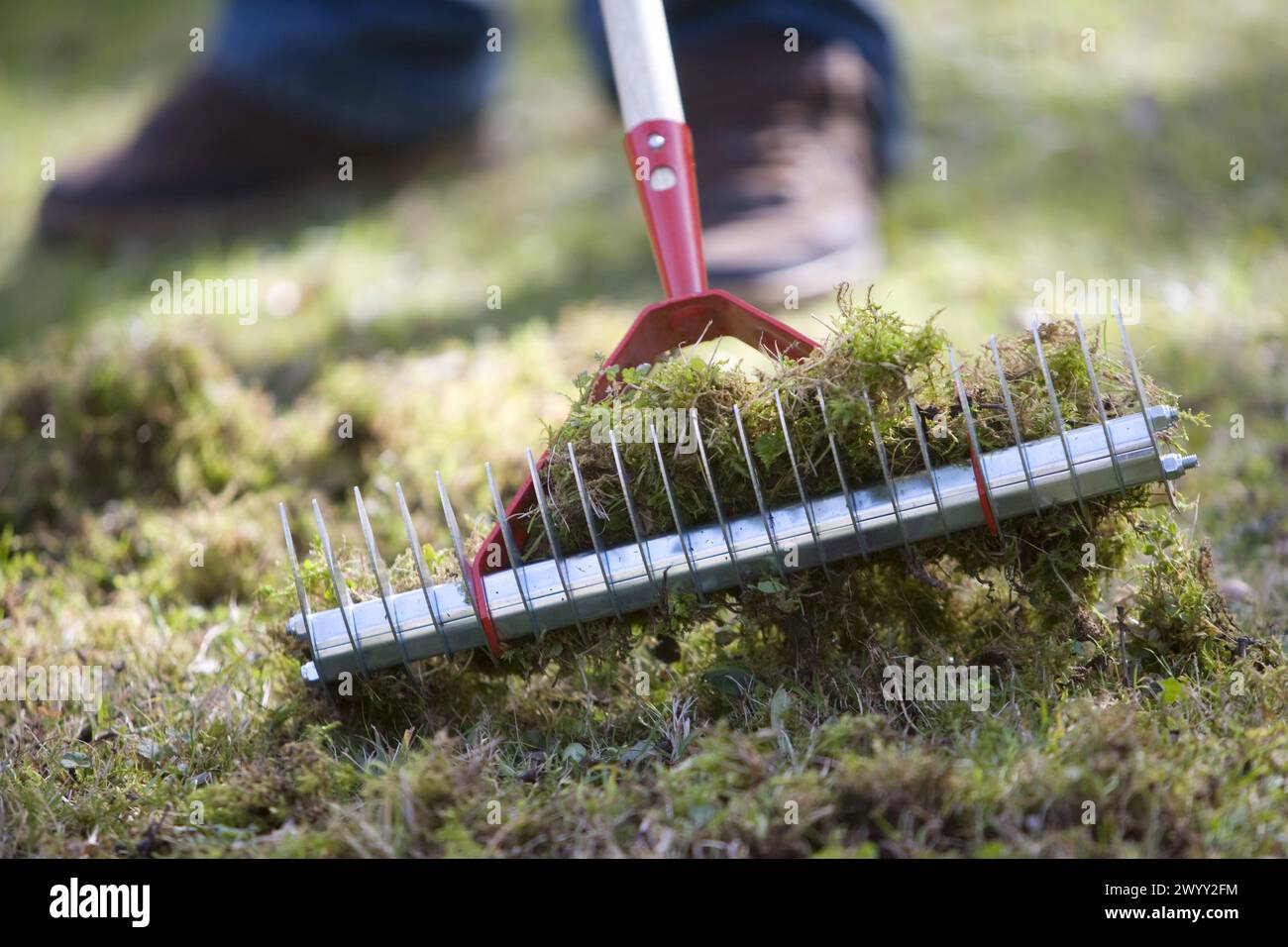 Aerate grass hi-res stock photography and images - Alamy
