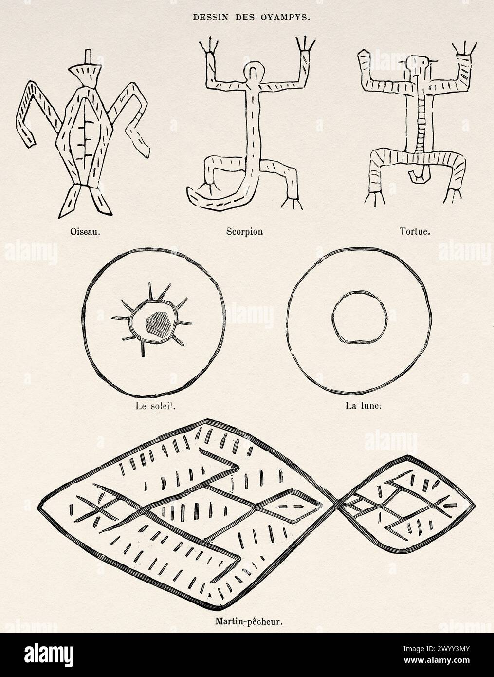 Drawing of the Wajapi Indians. Bird, Scorpion, Turtle, The sun, The ...