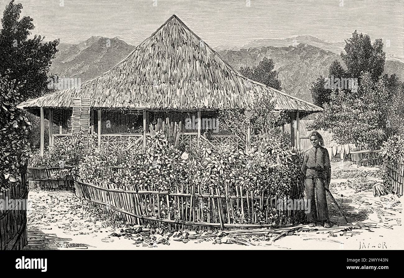 Administrator's residence of a coffee company in Soerian between Alahan ...