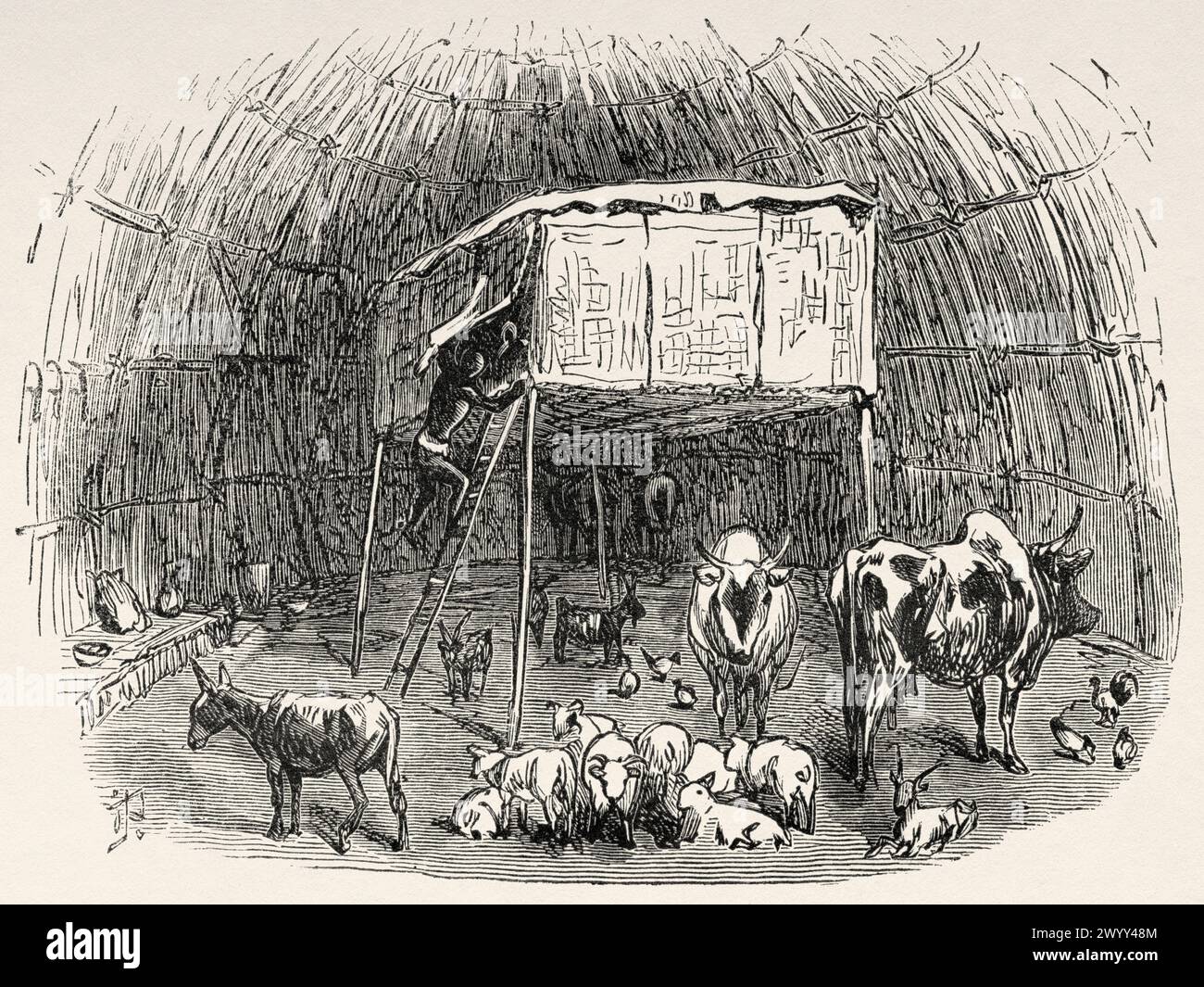 Interior of a Choa hut, Cameroon. Central Africa. Drawing by Ivan ...