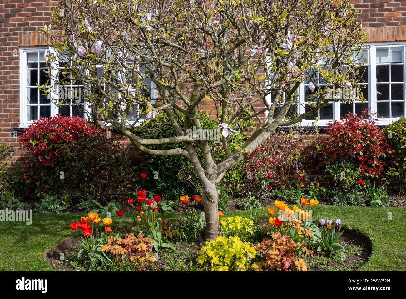 Green hedge, garden design in suburbs of London city, UK in spring ...