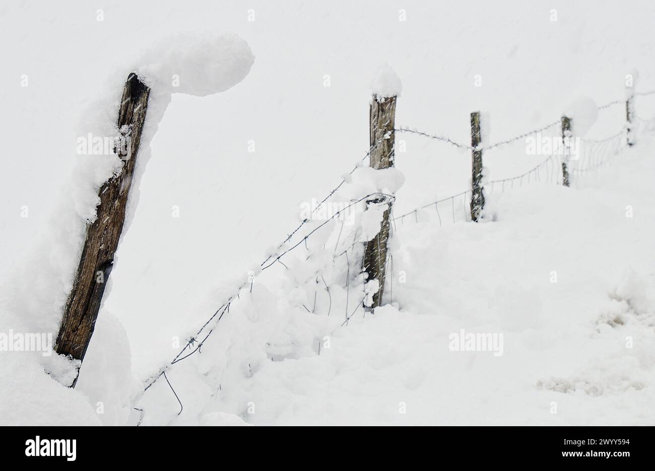 Snow and old fence. Legazpi. Guipúzcoa, Spain Stock Photo - Alamy