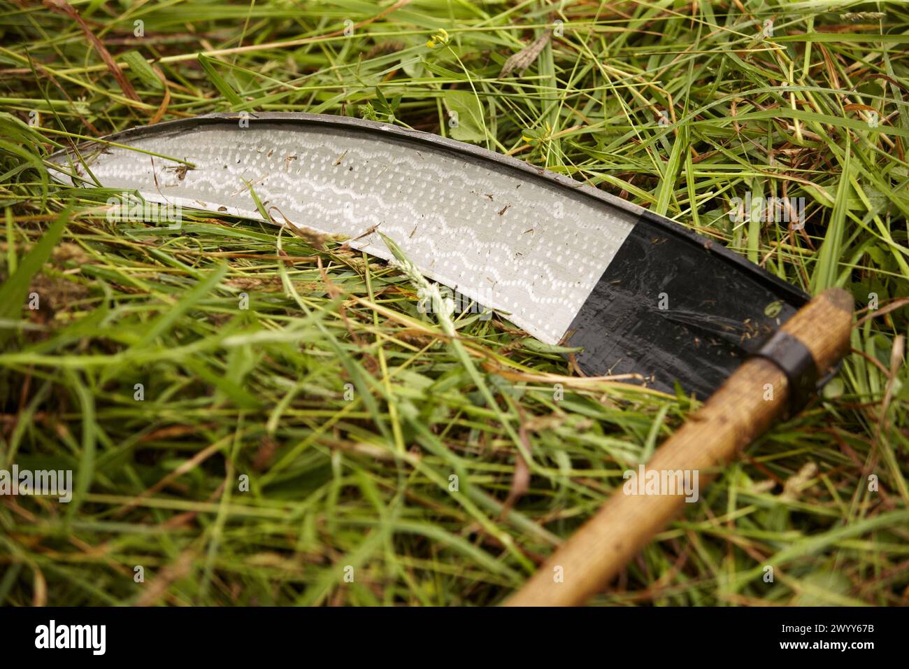 Farming scythe hi-res stock photography and images - Alamy
