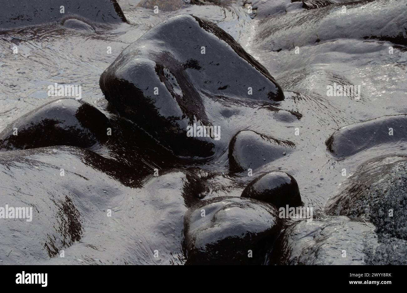 Fuel spill (´chapapote´) of Prestige tanker. Costa da Morte, Dec. 2002 ...