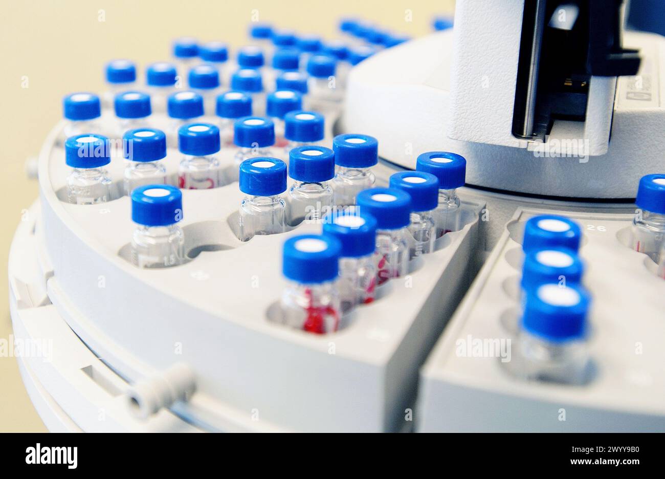Gas Chromatographer With Thermal Conductivity Detector Tcd Electron Capture Detector Ecd