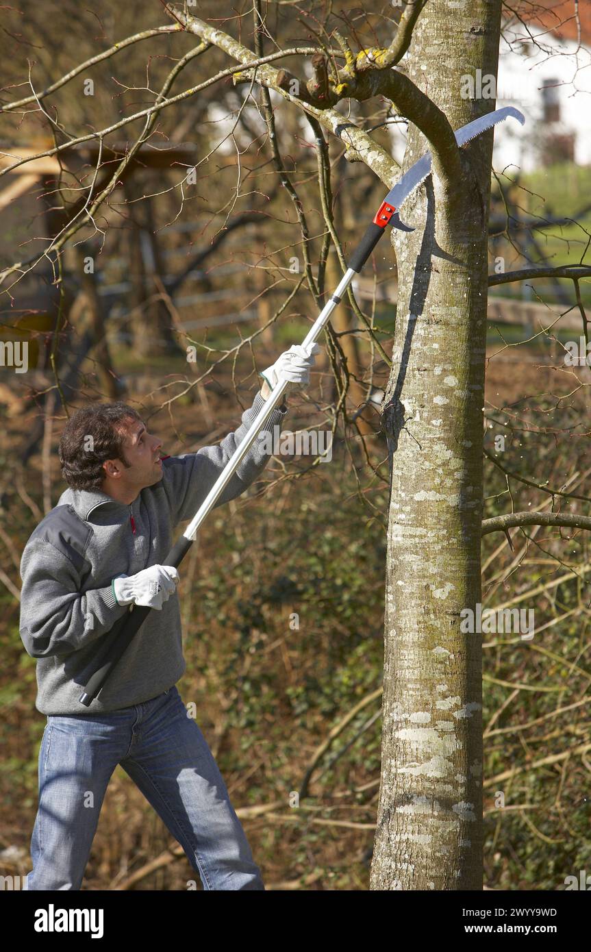 árbol individual hi-res stock photography and images - Alamy